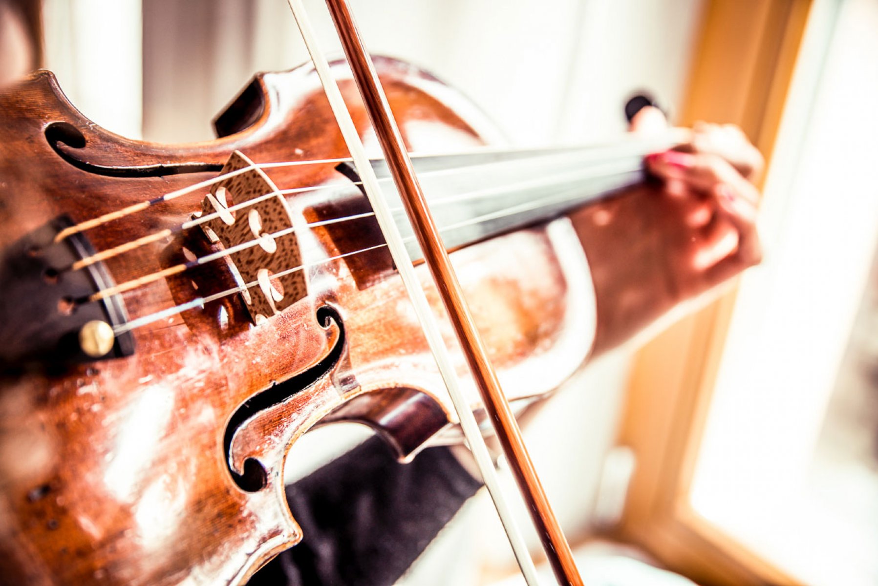 Bratsche lernen | Erwachsene | München | Kursfreunde